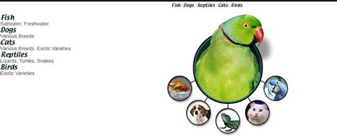 Mobile Recording Using Loadrunner By Vaishavi Medium