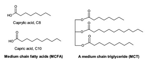 Medium Chain Triglycerides Their Role In Brain Health