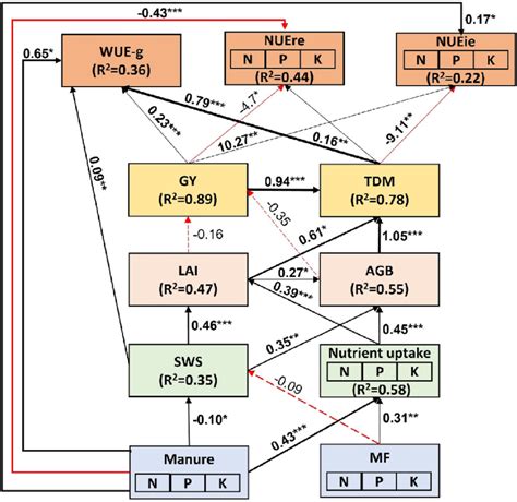 Structural Equation Model Showing The Relationship Between Nutrient Download Scientific Diagram