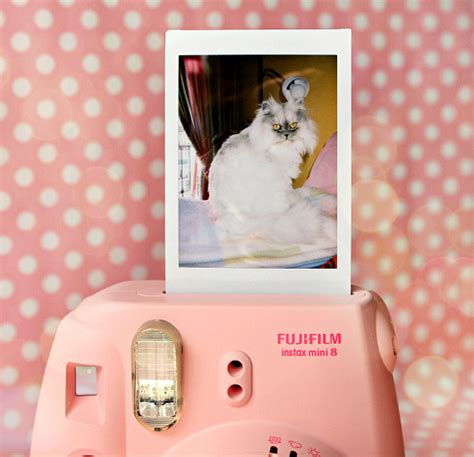 Fujifilm Instax Mini 8 Y 9 Promotion Et Meilleur Prix 2026