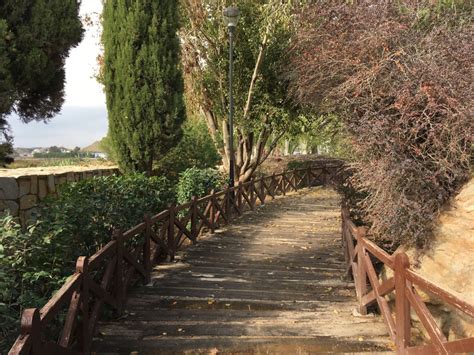 В дни между Рош ха Шана и Йом Кипуром задумываюсь что если бы БОГ был ещё более строг к миру и