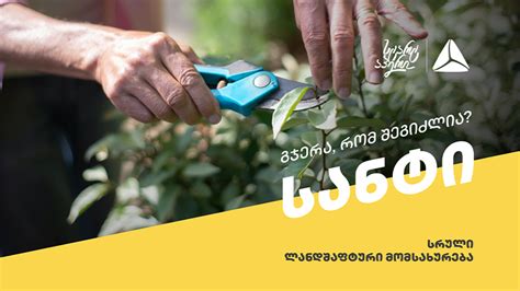 თიბისის მხარდაჭერით კომპანია „სანტი“ ქალაქებში მწვანე კუთხეების შექმნას გეგმავს Netgazeti