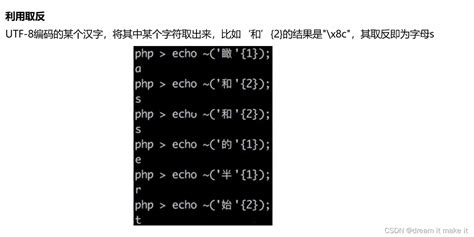 webshell详解：使用与变形技巧 csdn博客