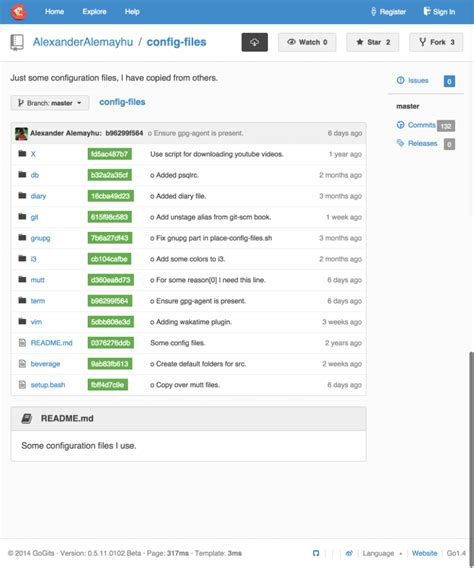 Gogs Setting Up Self Hosted Github Clone Devzine