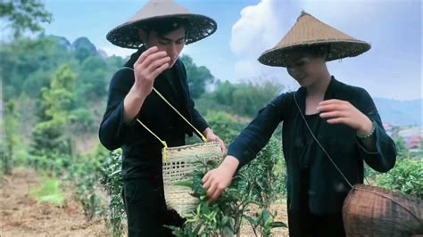 ຕົວຢ່າງ ເພງ ໃຫມ່ ຖາມຂ່າວສາວພູນ້ອຍ ແທນ ແດນພູຟ້າ ພູນ້ອຍ Youtube