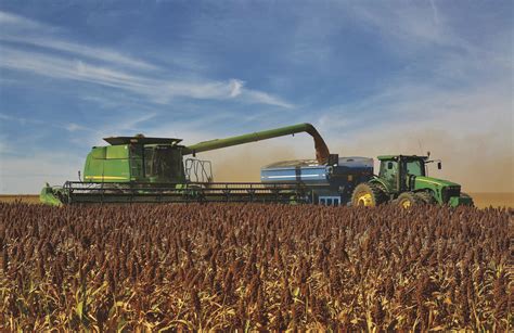 Sorghum Growth Stages Archives High Plains Journal