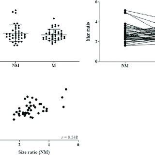 Endothelial Cell Derived CfDNA Does Not Increase During Menstruation Download Scientific