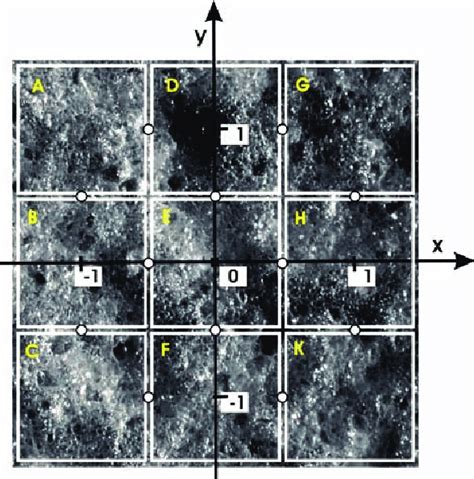Squares Arrangement On Sample Surface Download Scientific Diagram