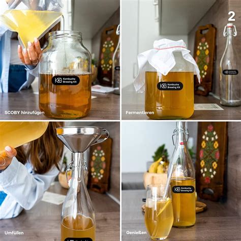 Kombucha Brewing Kit Bio Starter Set With Scoby Fermentation Vessel