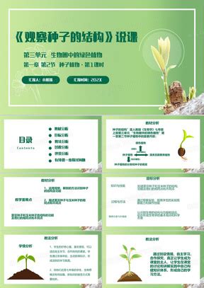种子结构PPT模板 种子结构PPT模板下载 熊猫办公