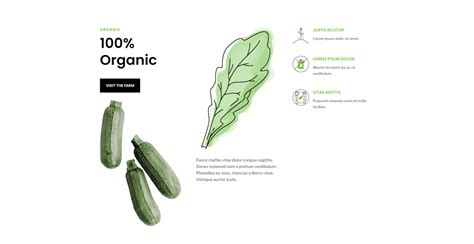 Using Divi Spacing Options Elegant Themes Documentation