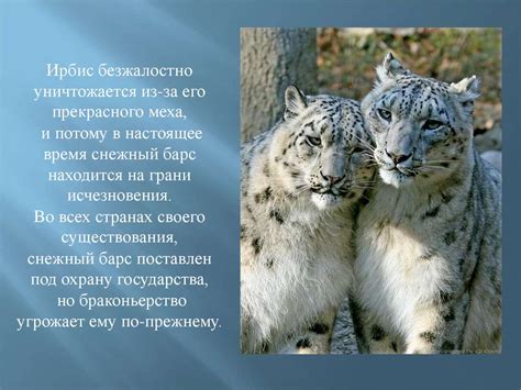 Животные занесённые в Красную книгу презентация онлайн