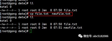 linux系统如何复制文件 墨天轮