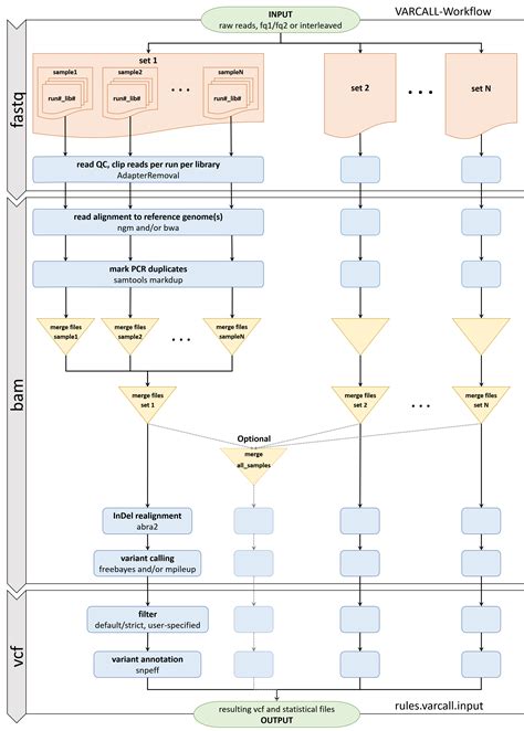 Mutant Analysis Workflow Documentation — Dna Proto Workflow Documentation