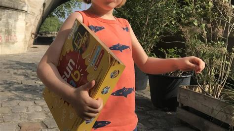 Sunlab Solar Brother