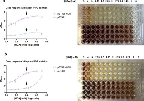 Dose Response Experiment E Coli Bl21 De3 Cells Containing Download Scientific Diagram