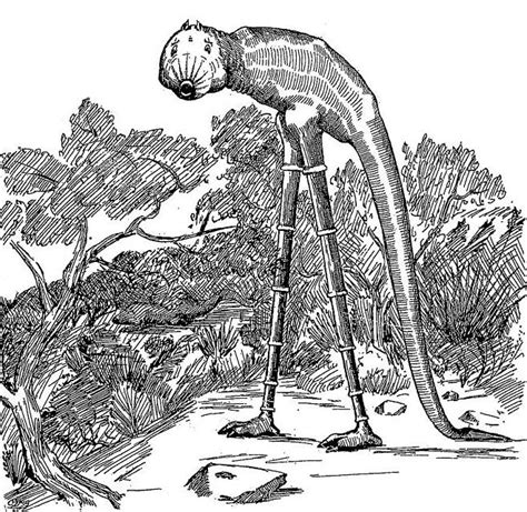 Tripodero Cryptid Wiki Fandom Powered By Wikia