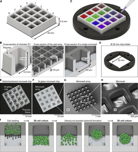 miniaturized and multiplexed high content screening of drug and immune