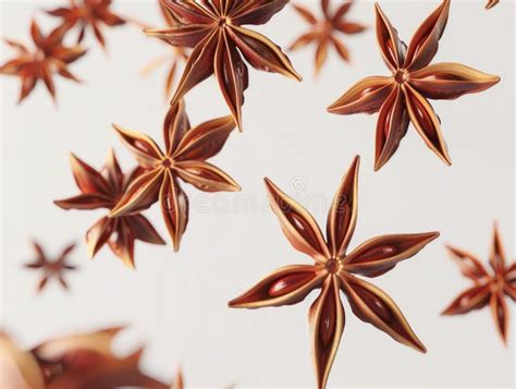 Ornamental Star Shaped Objects Stock Illustration Illustration Of Abstract Home 366135679