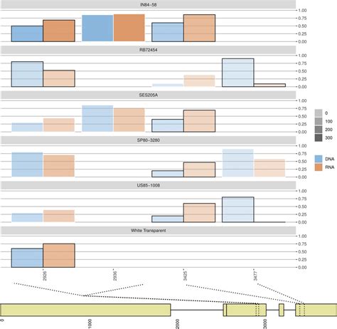 Relative Genomic Dose And Relative Expression Of The Reference Allele