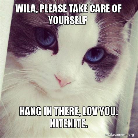 Cate Meme Cat Memes That Are So Hilarious Youll Laugh At Them Every