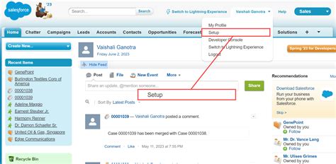 Control Login Access Policies In Salesforce Detailed Guide
