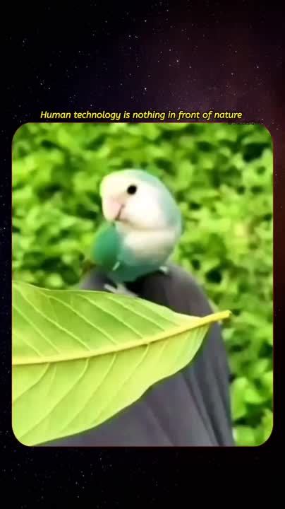 Muhammad Hammad On Linkedin Naturesupremacy Techvsnature