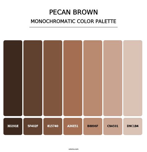 Pecan Brown Color Palettes