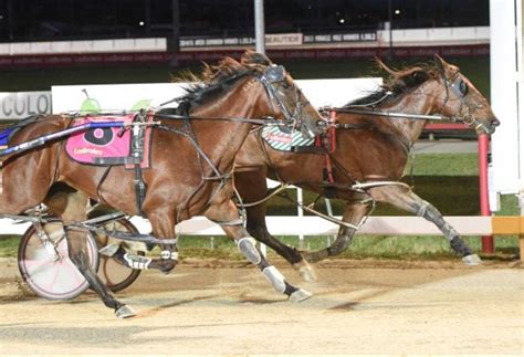 Drama Fueled Group 2 Sees Looby On Top Harnesslink