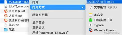 vscode安装扩展volar失败 错误：“未在zip中找到扩展名 package json。” vscode安装volar csdn博客