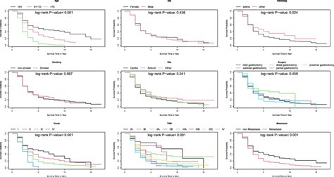 Kaplanmeier Survival Probability Curves Of Patients According To Their