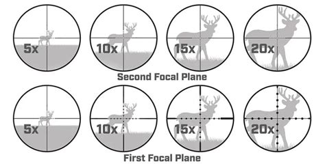 The Basics First Focal Plane Vs Second Focal Plane Scopes Shooting