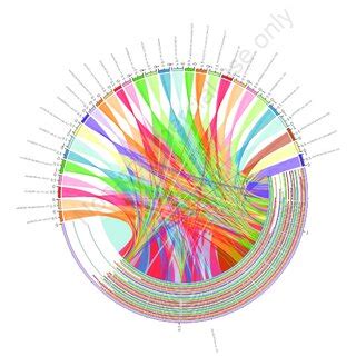 CIRCOS Configuration Visualizing Data Which Illustrates Nucleotide