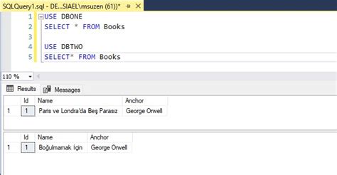 Repository Pattern İle Net 6 Web Api Üzerinde Multiple Dbcontext