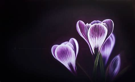 Grabner Vasja Galerie Kunst 7