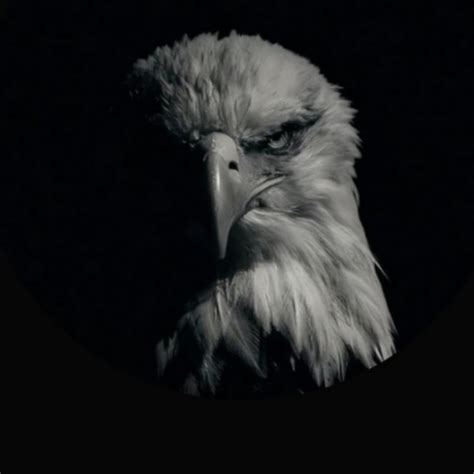 Roxon X Explain Youtube