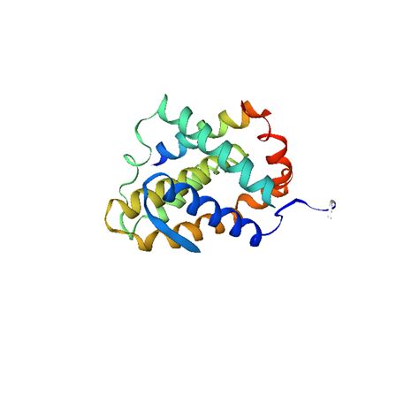 Apoptosis Regulator Bcl 2 Bcl2 Abcam
