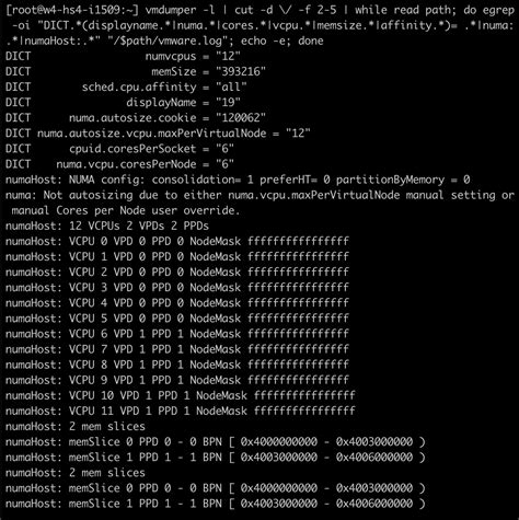 Numa 경계를 초과하는 대용량 메모리 용량 Vm을 위한 Vsphere 8 Cpu Topology 098