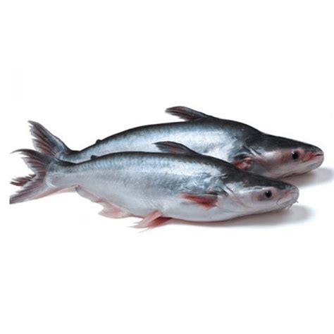 Pangasius Basa Amanda
