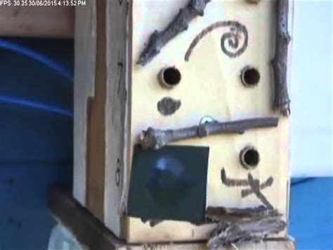 Monitoring Mason Bees Using Arduino Adafruit Industries Makers