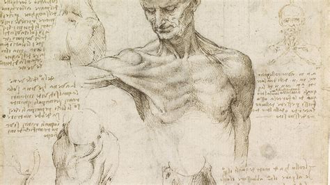 Anatomy Professor Uses 500 Year Old Da Vinci Drawings To Guide Cadaver Dissection Nova Pbs