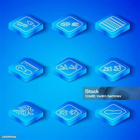 라인 걸레 비둘기 발 발자국 발 갈매기 타이어 트랙 광장 측정 크기 인간 발자국 신발 및 아이콘을 설정합니다 벡터 3차원 형태에