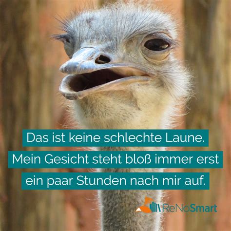 Das Ist Keine Schlechte Laune Mein Gesicht Steht Bloß Immer Erst Ein