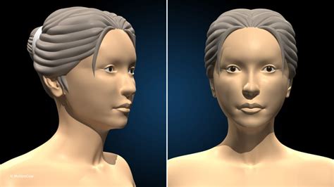 Female Muscular Skeletal Advanced Rig Motioncow