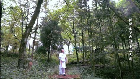 探秘金华山金兰古道