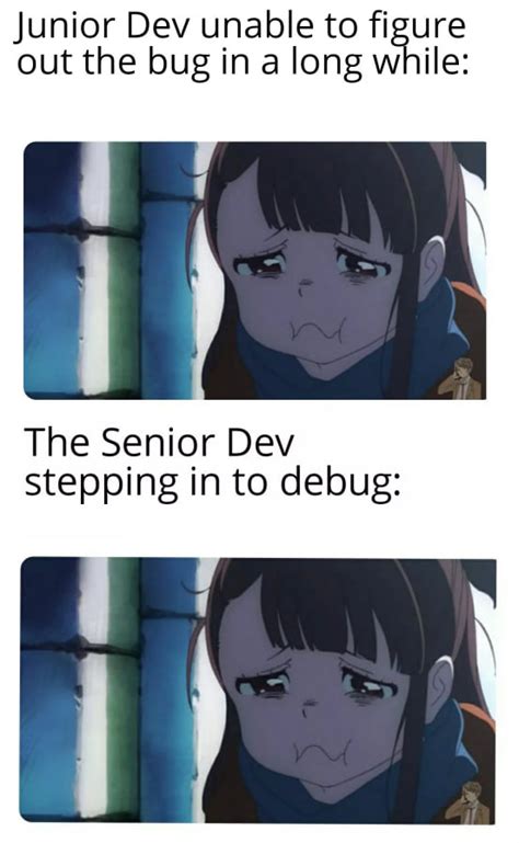 574 best r programmeranimemes images on pholder i love my past self