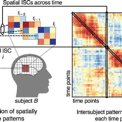 Iscs Of Spatially Distributed Response Patterns Intersubject Pattern Download Scientific