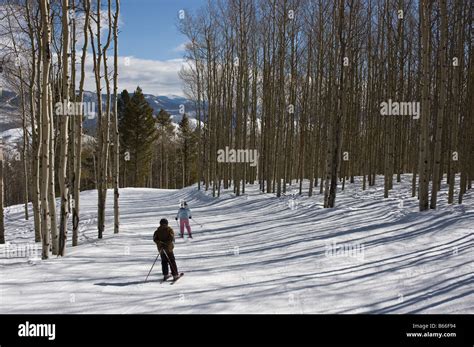Ski Run Between Arrowhead And Bachelor Gulch Areas Beaver Creek Resort