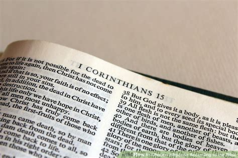 How To Choose A Spouse According To The Bible 5 Steps