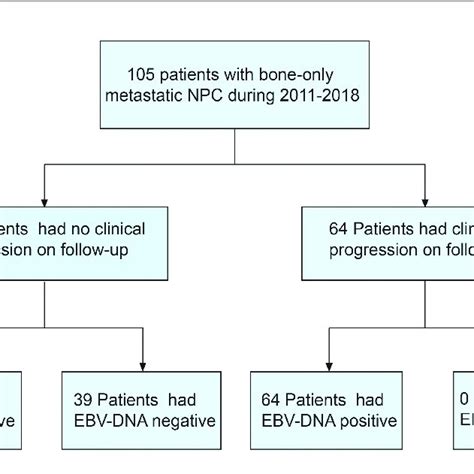 Flowchart Of The Different Groups According To Ebv Dna Kinetics